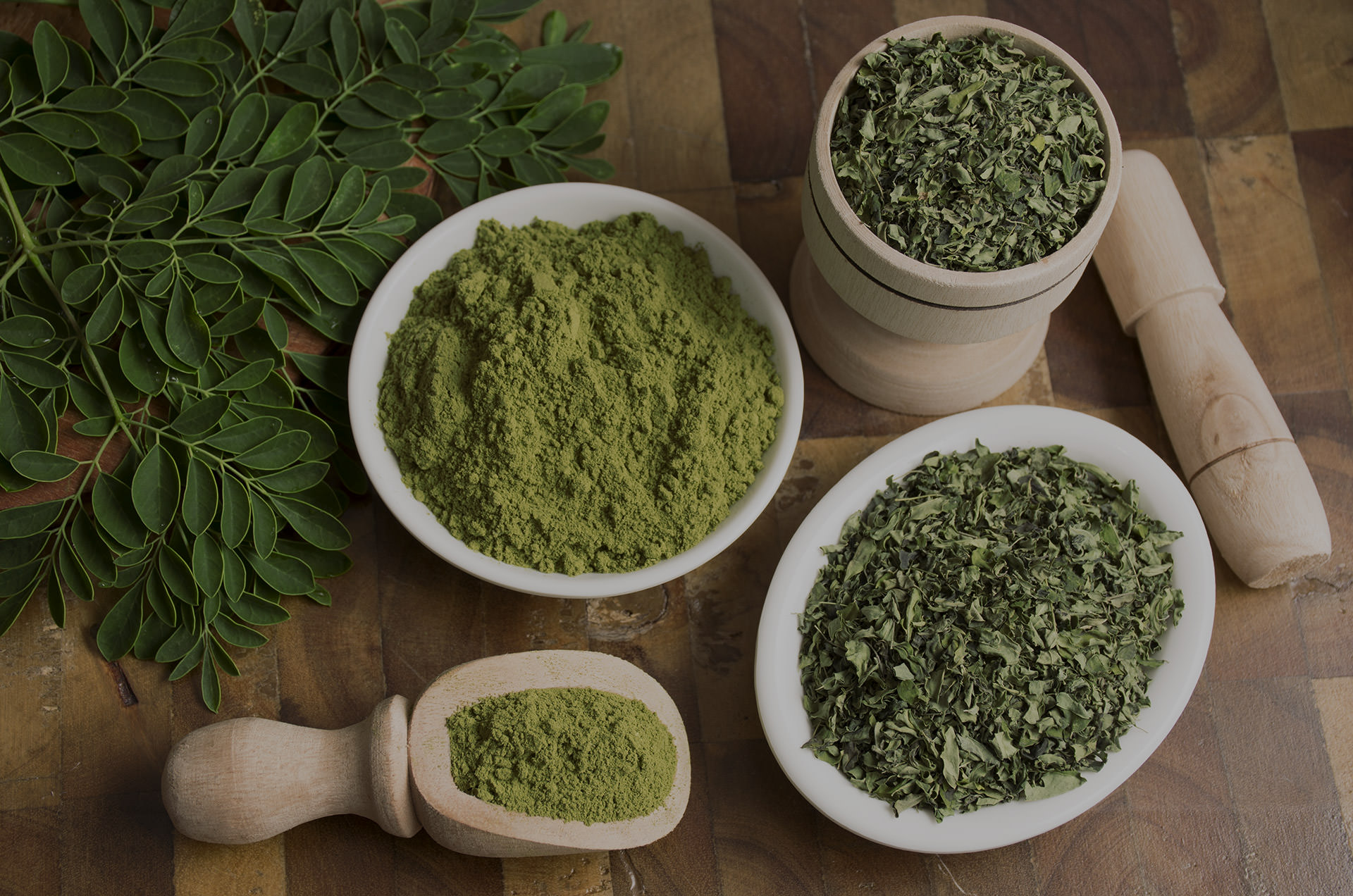 What is Moringa Good For? The Benefits of Moringa – Out Of Eden ...